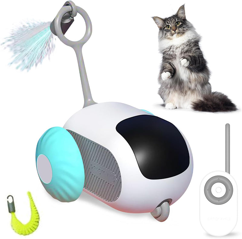 Remote Control Smart Electric Cat Toy – THEPAWSDIARY